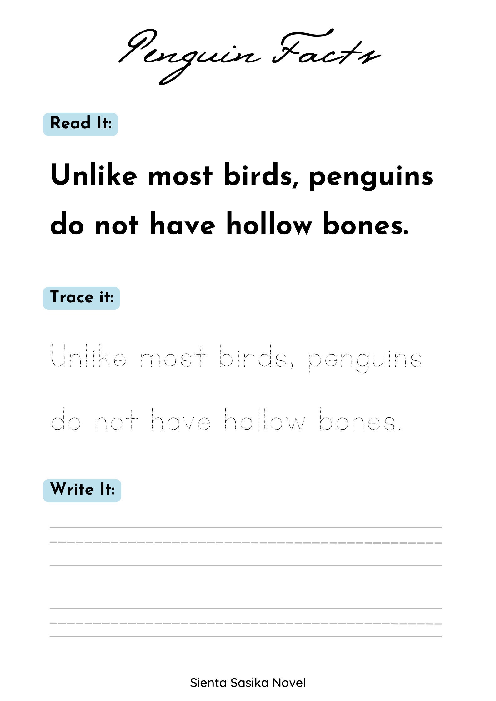 PENGUINS UNIT STUDY [nature Unit Study] Total 460 Pages | Science ...
