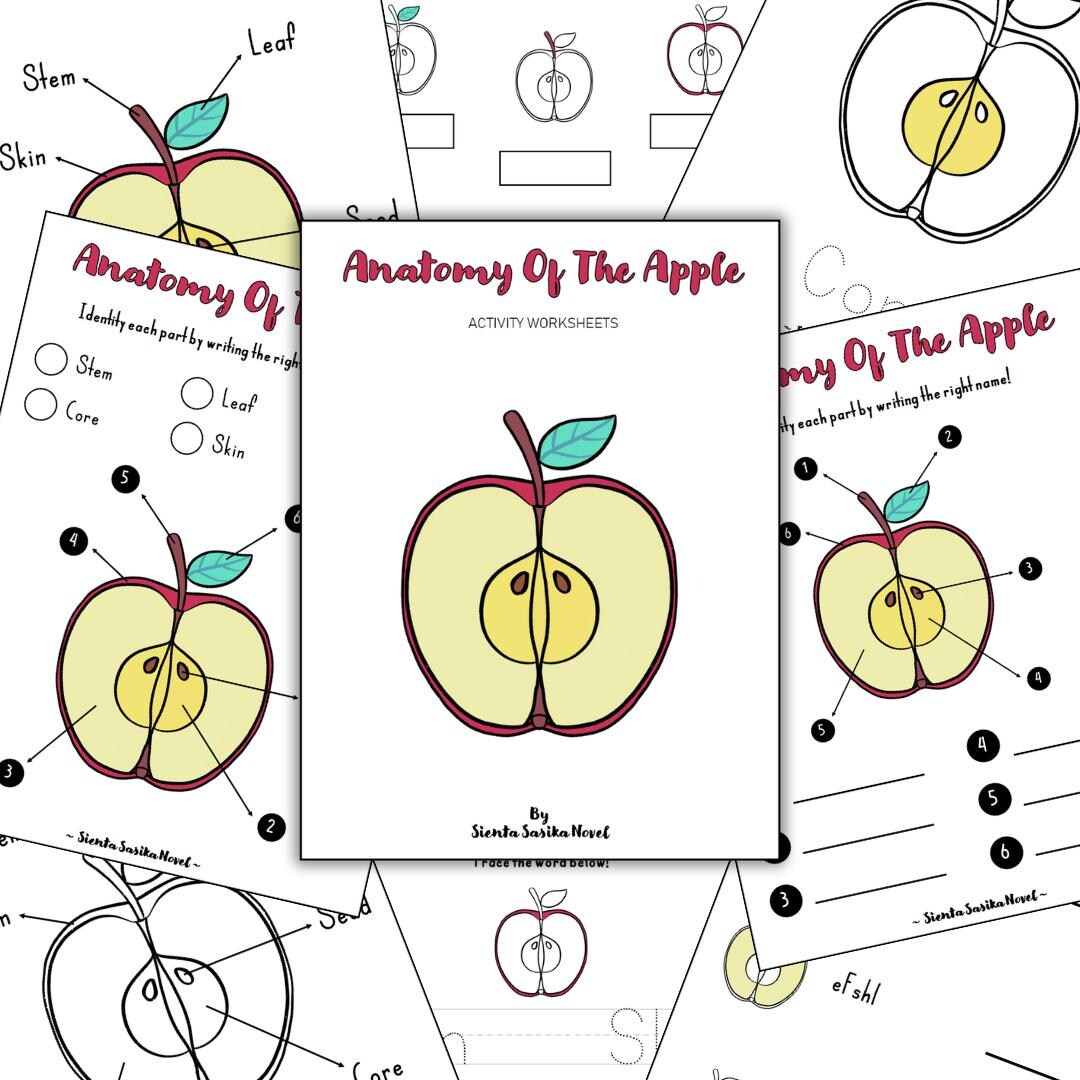 APPLE ANATOMY: Montessori 3 Parts Card and 40 Pages Worksheet Apple ...