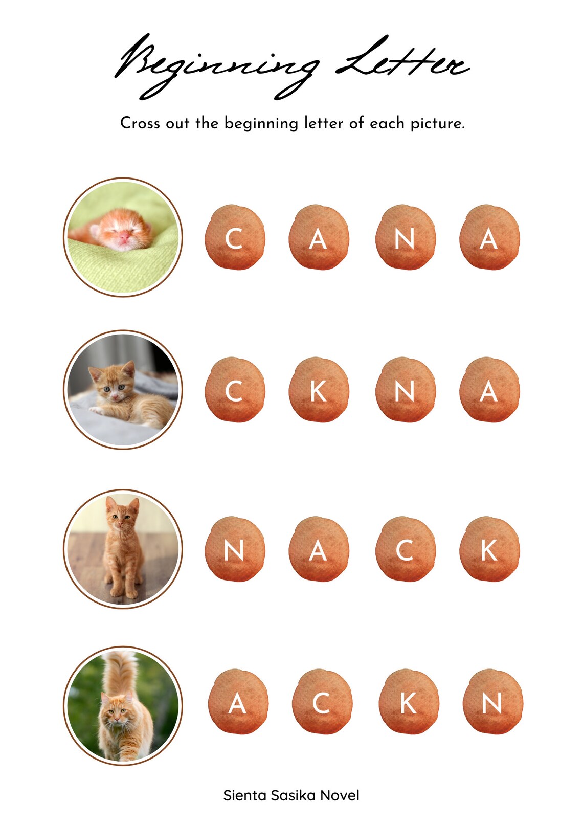 Cats Nature Unit Study: Homeschool Printable (386 Pages) (PDF) - Etsy
