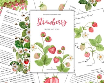 Strawberry Life Cycle Homeschool Nature Study Printable - Etsy UK