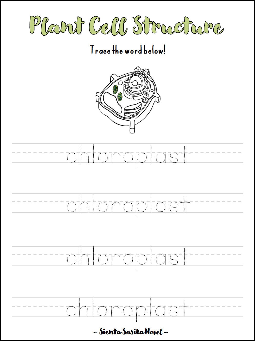 PLANT CELL STRUCTURE: Montessori 3 Parts Card and 115 Pages - Etsy