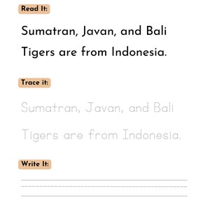 Tiger Nature Unit Study: Homeschool Science Printable (digital Download ...