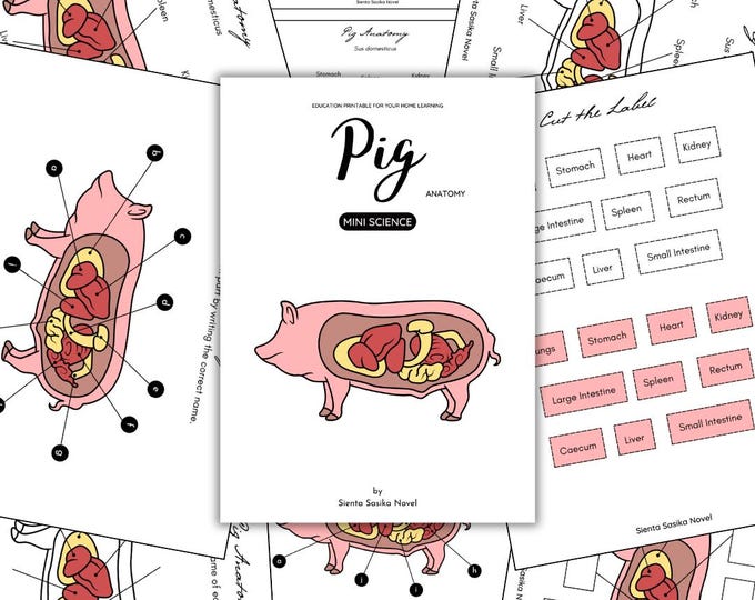 Parts of a Pig Nomenclature Book - Montessori Zoology - Printable ...