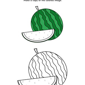 PART OF FRUIT: Watermelon Semangka Learning Anatomy of Fruit Botany ...