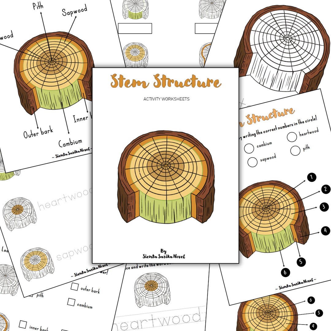 STEM STRUCTURE: Montessori 3 Parts Card and 52 Pages Worksheet | Tree ...