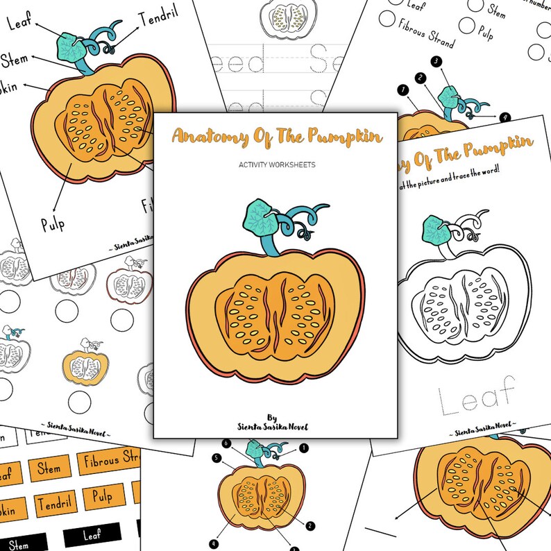 ANATOMY of THE PUMPKIN: Montessori 3 Parts Card and 43 Pages Worksheet ...