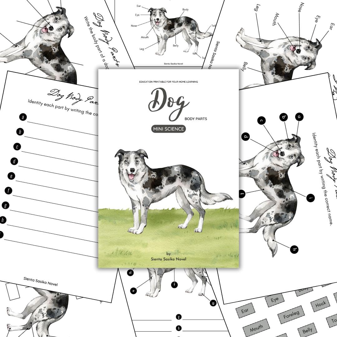 Mini Science: Learning Dog Body Parts, Animal Anatomy, Dog Anatomy - Etsy