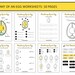 ANATOMY of AN EGG: Montessori 3 Parts Card and 50 Worksheet Pages Egg ...