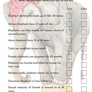 ELEPHANT UNIT STUDY [nature Unit Study] Total 178 Pages | Science ...