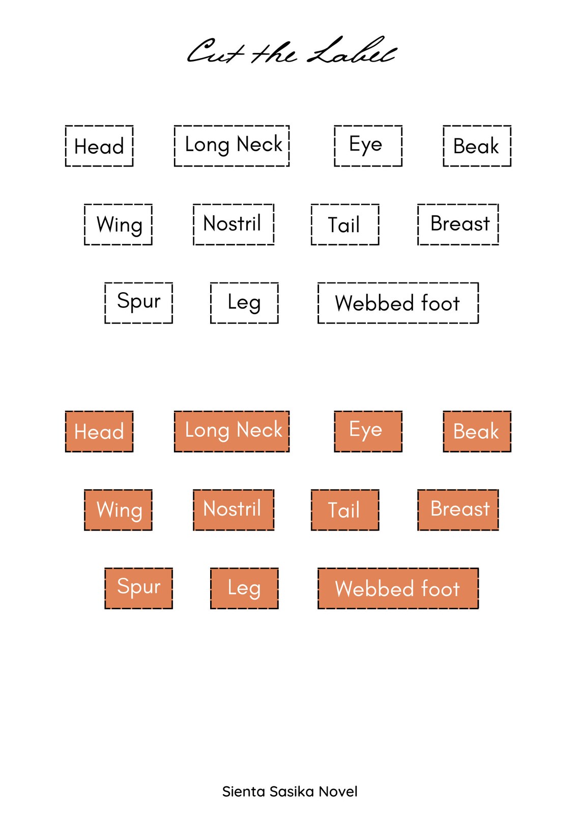 MINI STUDY: Farm Animals Body Parts Total 470 Pages Anatomy Morphology ...