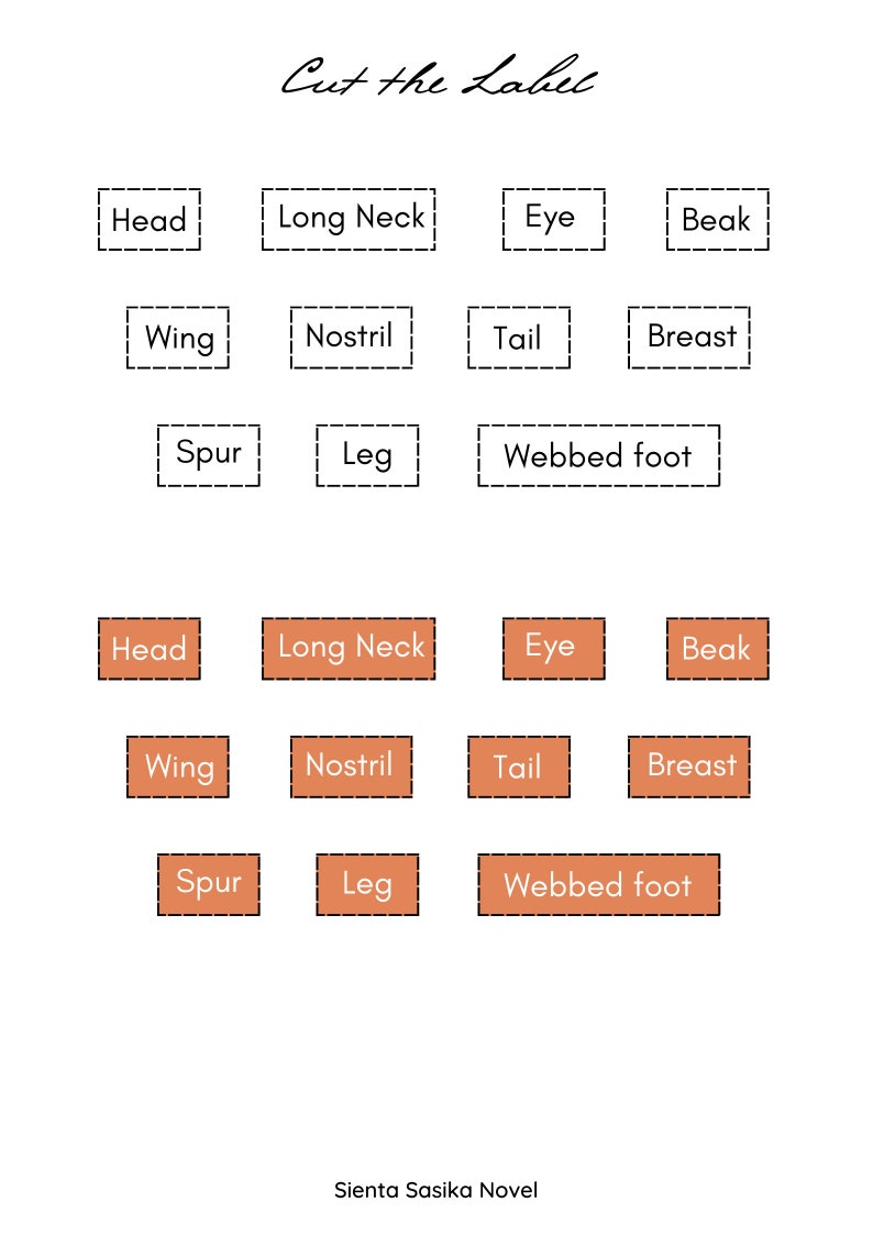 MINI STUDY: Farm Animals Body Parts Total 470 Pages Anatomy Morphology ...