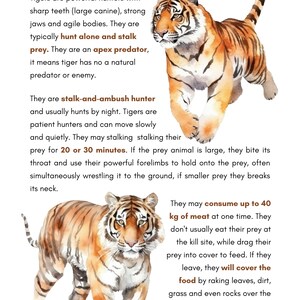 TIGER UNIT STUDY [nature Unit Study] Total 225 Pages | Science ...