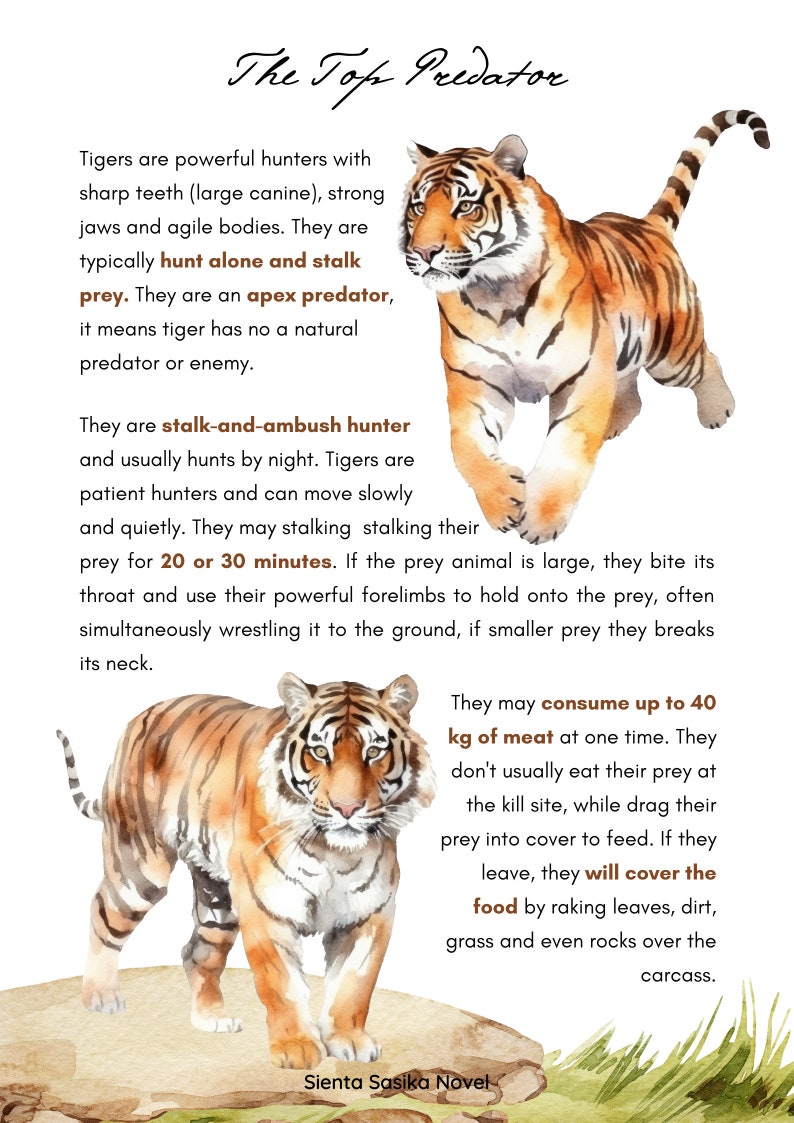 TIGER UNIT STUDY [nature Unit Study] Total 225 Pages | Science ...