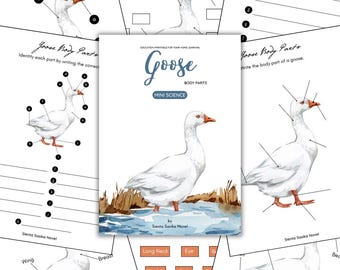 Goose Anatomy Printable: Animal Body Parts, Science Lesson (PDF) - Etsy