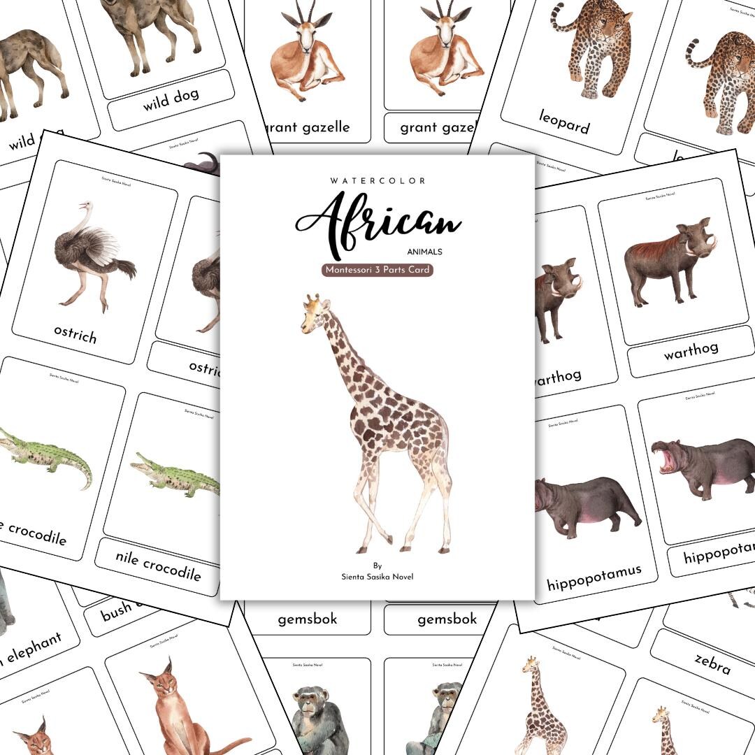 MONTESSORI 3 PARTS CARD: African Animals Homeschool, Home Learning ...