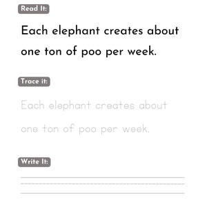 ELEPHANT UNIT STUDY [nature Unit Study] Total 178 Pages | Science ...