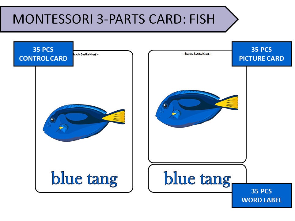 BUNDLE MONTESSORI 3 Parts Card: Fish, Insects, Birds Flash Cards Total ...