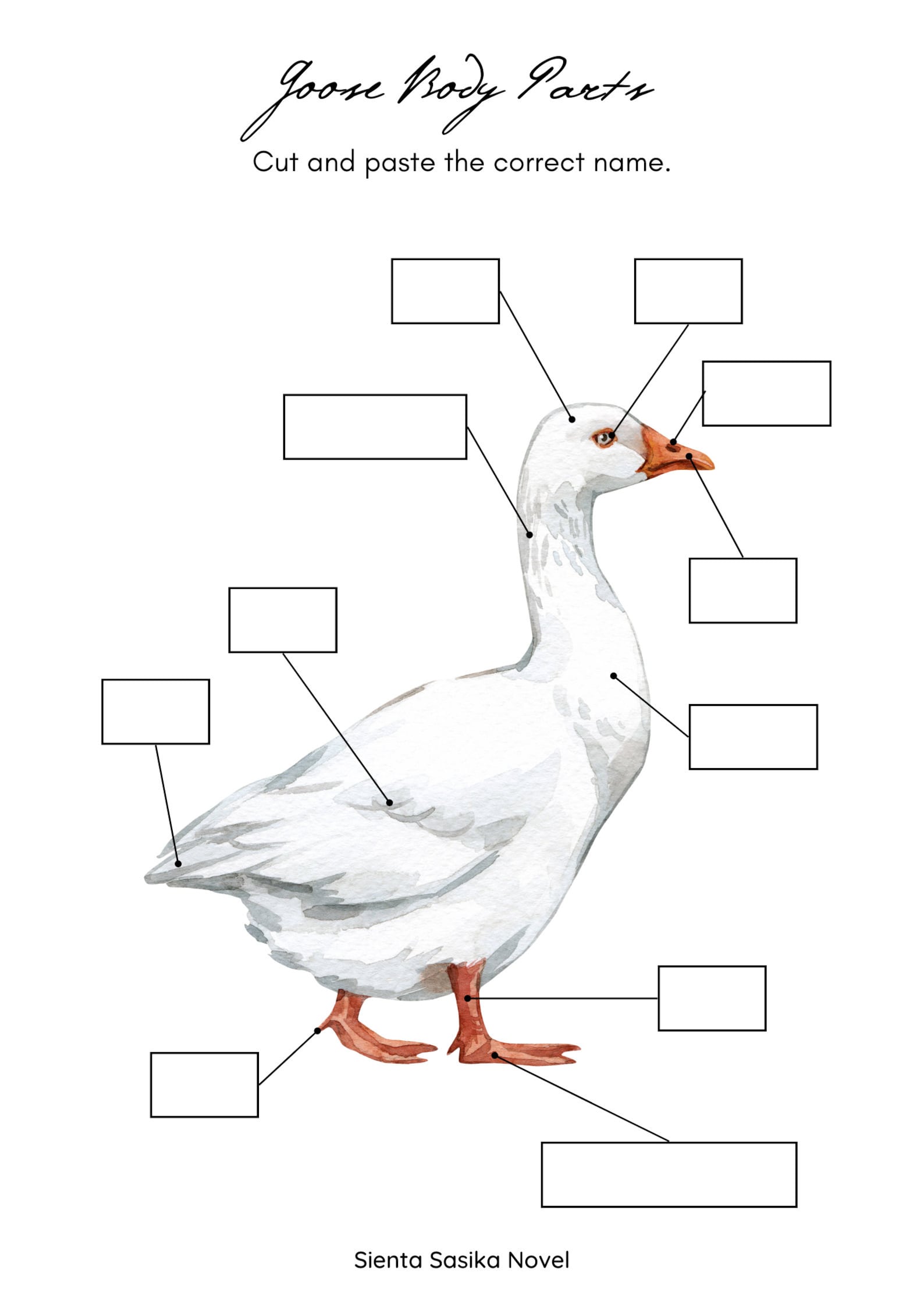 MINI STUDY: Farm Animals Body Parts Total 470 Pages Anatomy Morphology ...