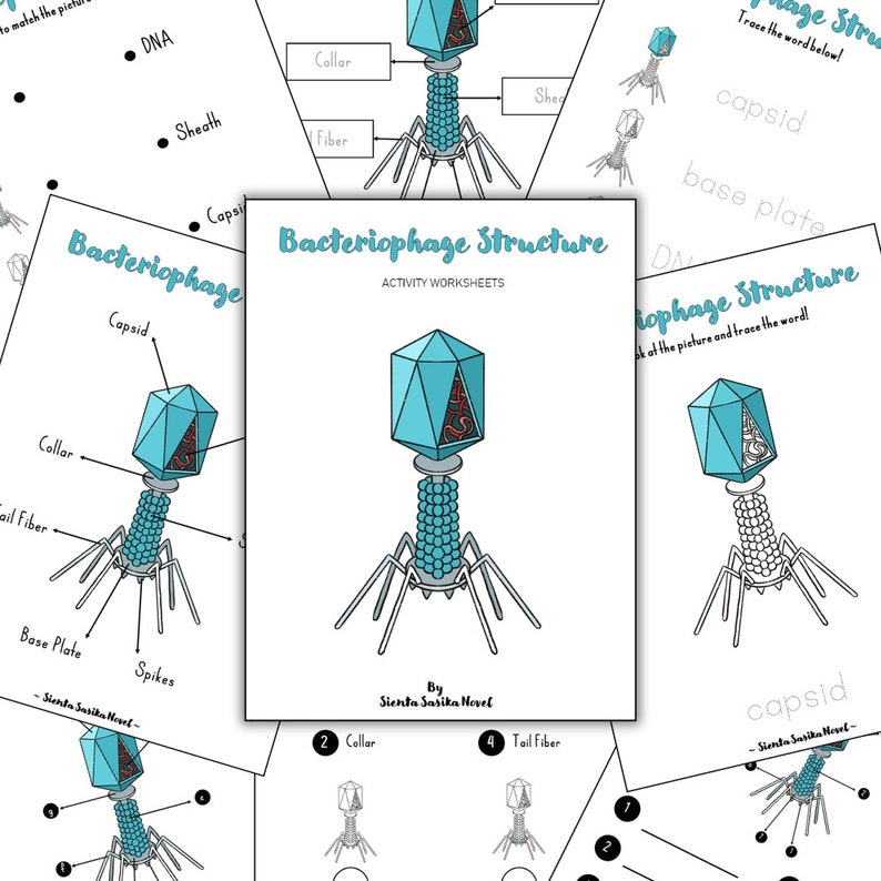 BACTERIOPHAGE STRUCTURE: Montessori 3 Parts Card and 56 Pages Worksheet ...