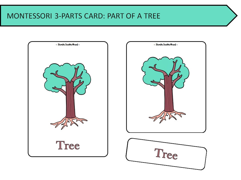 PART OF A TREE: Montessori 3 Parts Card and 39 Pages Worksheet - Etsy