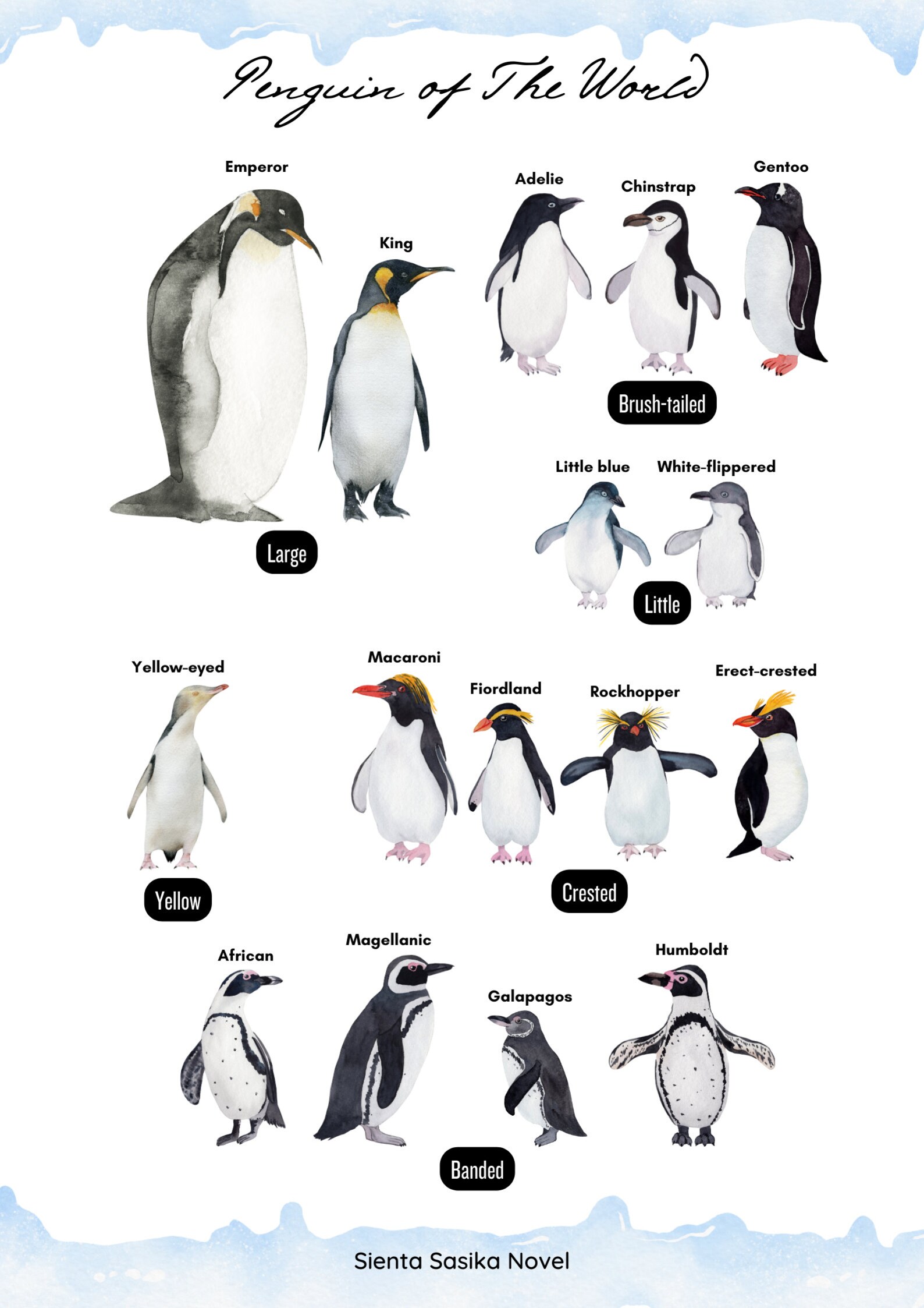 PENGUINS UNIT STUDY [nature Unit Study] Total 460 Pages | Science ...