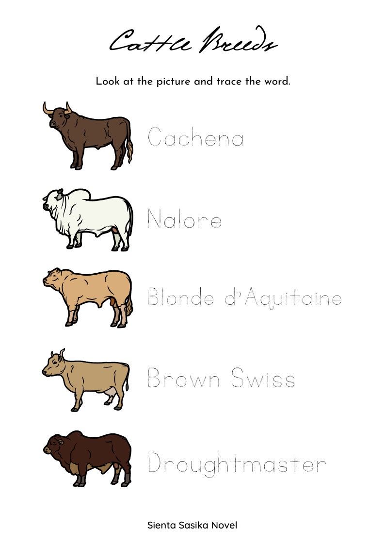 CATTLE UNIT STUDY nature Unit Study Total 272 Pages Cow Unit Study ...