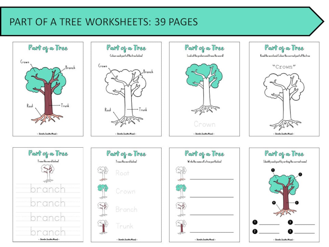 PART OF A TREE: Montessori 3 Parts Card and 39 Pages Worksheet - Etsy