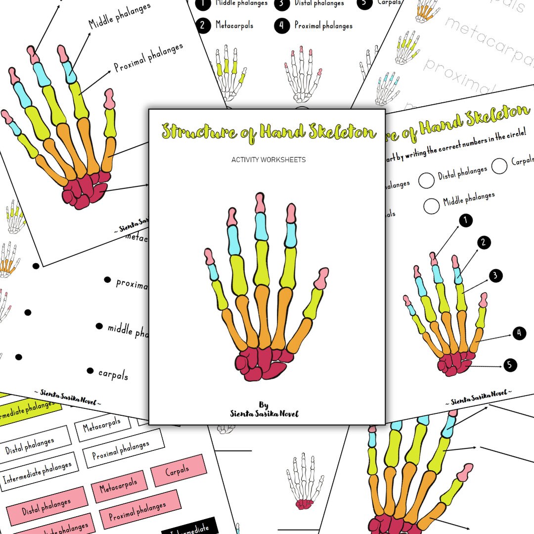 HAND SKELETON: Montessori 3 Parts Card and 42 Worksheet Pages | Hand ...
