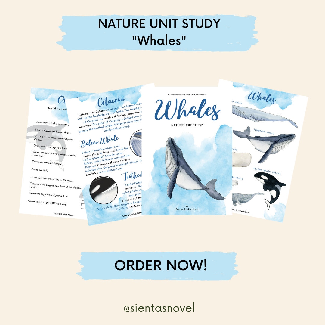 WHALE UNIT STUDY nature Unit Study Total 164 Pages - Etsy