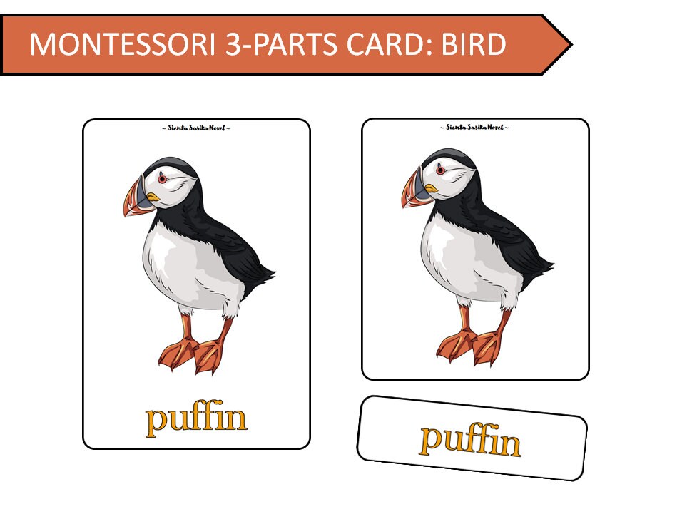 BUNDLE MONTESSORI 3 Parts Card: Fish, Insects, Birds Flash Cards Total ...