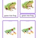 MONTESSORI 3 PARTS CARD: Real Picture of Amphibian Homeschool, Home ...