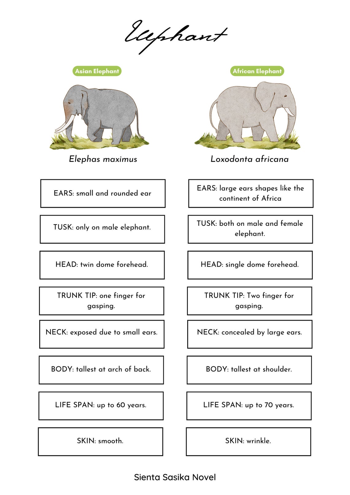 ELEPHANT UNIT STUDY nature Unit Study Total 178 Pages Science ...