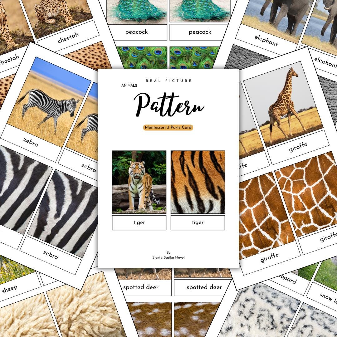 MONTESSORI 3 PARTS CARD: Real Picture of Animals and Their Pattern ...