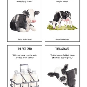 CATTLE UNIT STUDY [nature Unit Study] Total 272 Pages | Cow Unit Study ...