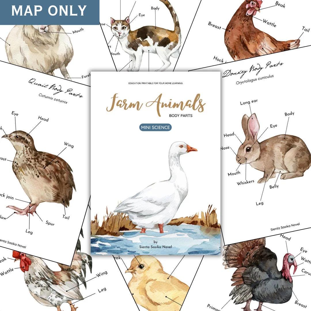 Mini Science: Learning Farm Animals Body Parts MAP ONLY, Animal Anatomy ...