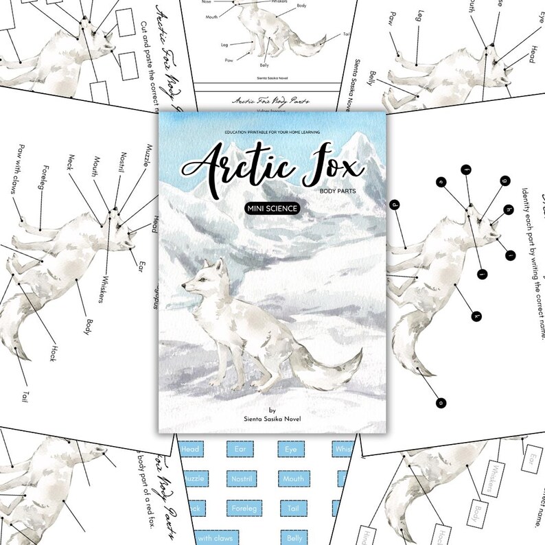 Arctic Fox Anatomy: Body Parts Learning Printable (PDF) - Etsy