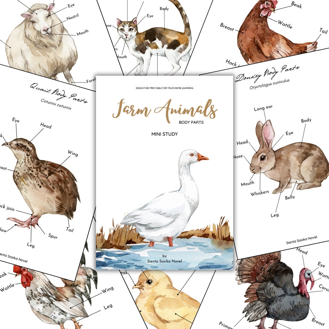 MINI STUDY: Farm Animals Body Parts Total 470 Pages Anatomy Morphology ...