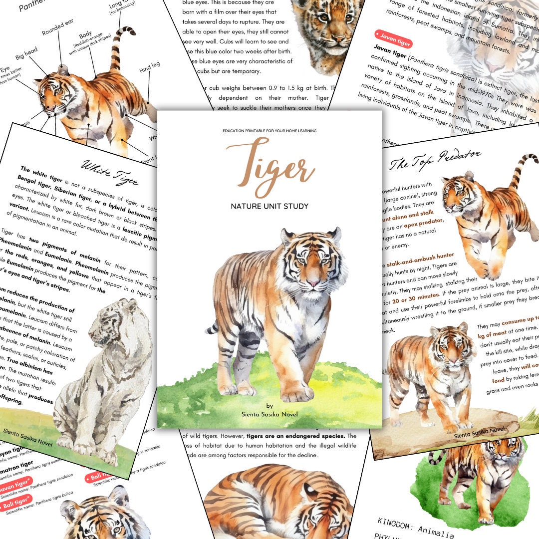 TIGER UNIT STUDY [nature Unit Study] Total 225 Pages | Science ...