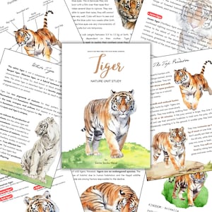 TIGER UNIT STUDY nature Unit Study Total 222 Pages Science, Homeschool ...