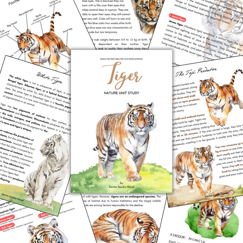 TIGER UNIT STUDY [nature Unit Study] Total 225 Pages | Science ...