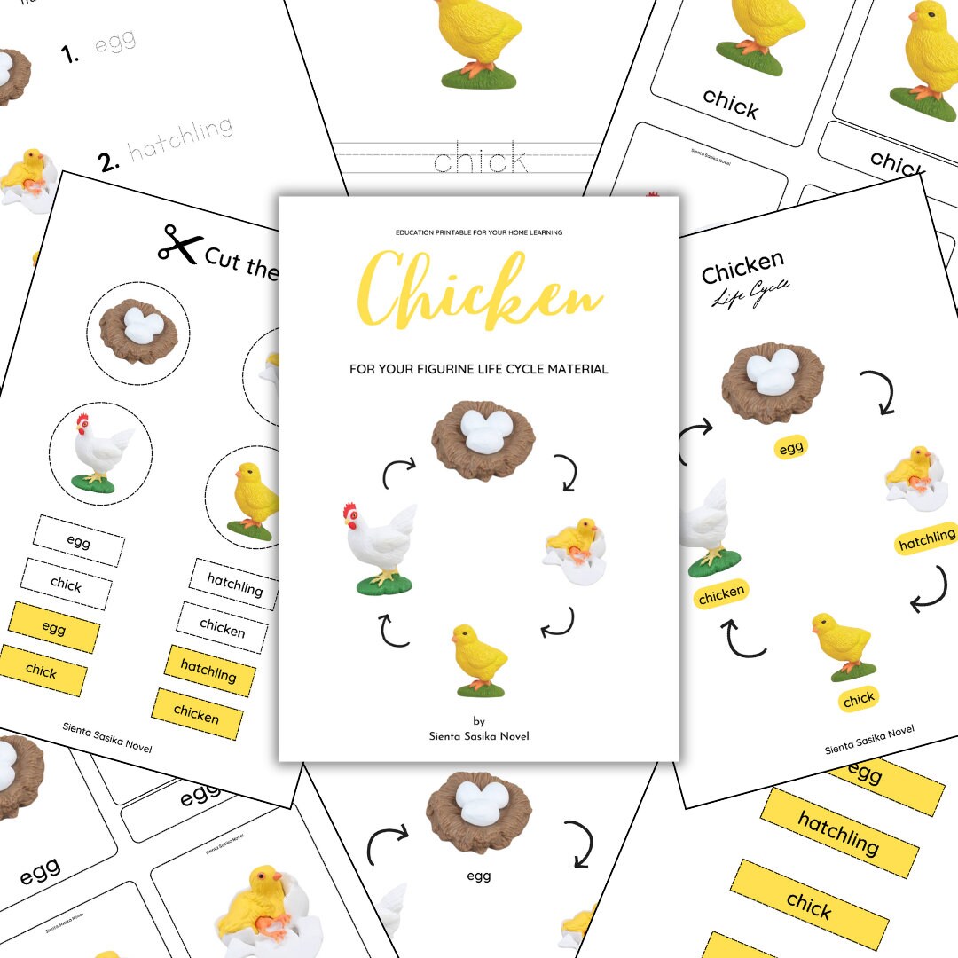 Chicken Life Cycle Printable: Montessori 3-part Cards & Worksheets ...