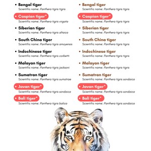TIGER UNIT STUDY [nature Unit Study] Total 225 Pages | Science ...