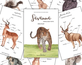 MINI STUDY: Farm Animals Body Parts Total 470 Pages Anatomy Morphology ...