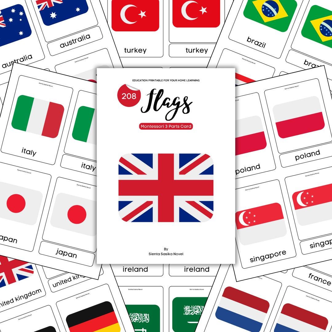 MONTESSORI 3 PARTS CARD: 208 Flags, Flash Cards, Montessori Flags ...