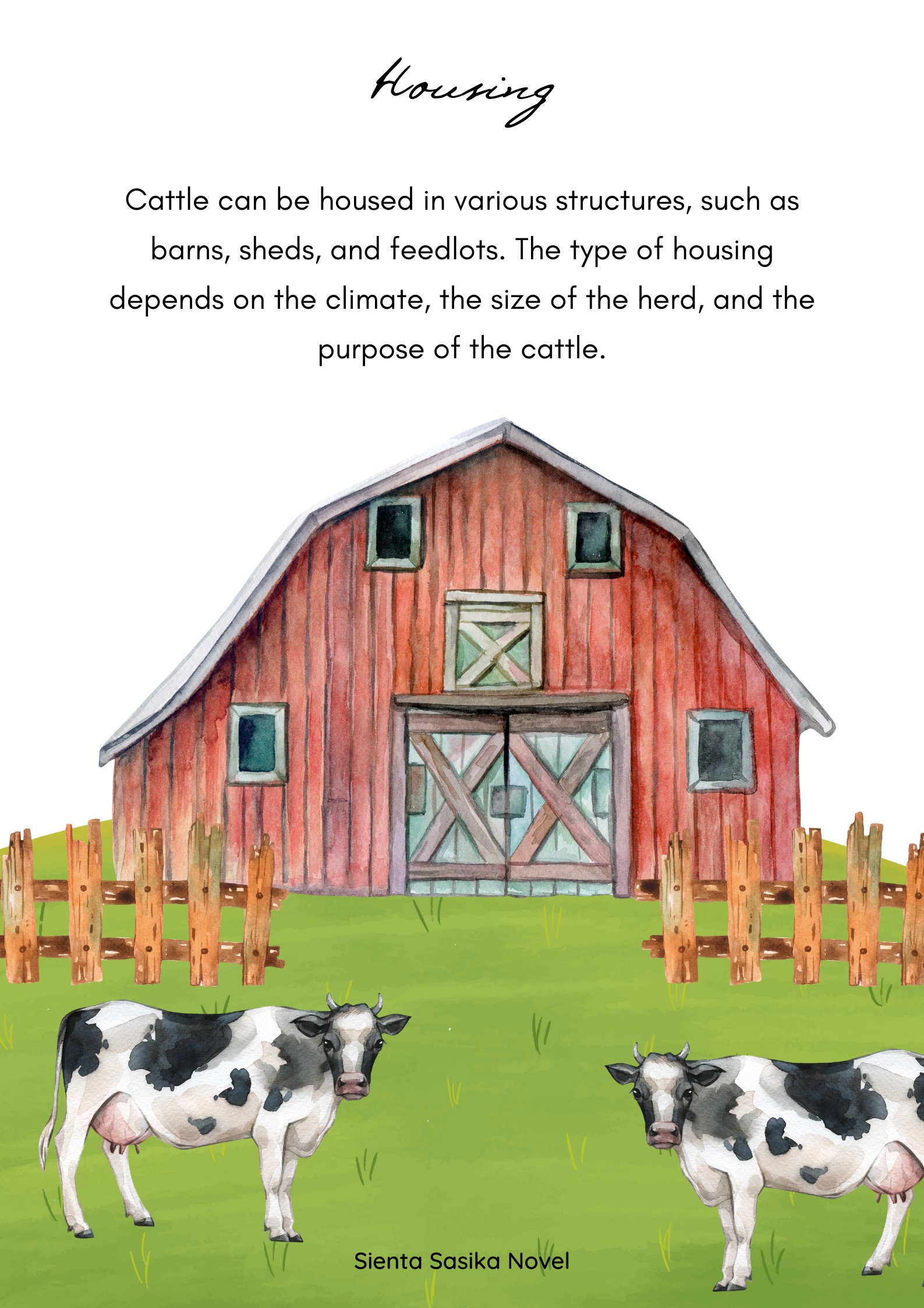 CATTLE UNIT STUDY nature Unit Study Total 272 Pages Cow Unit Study ...