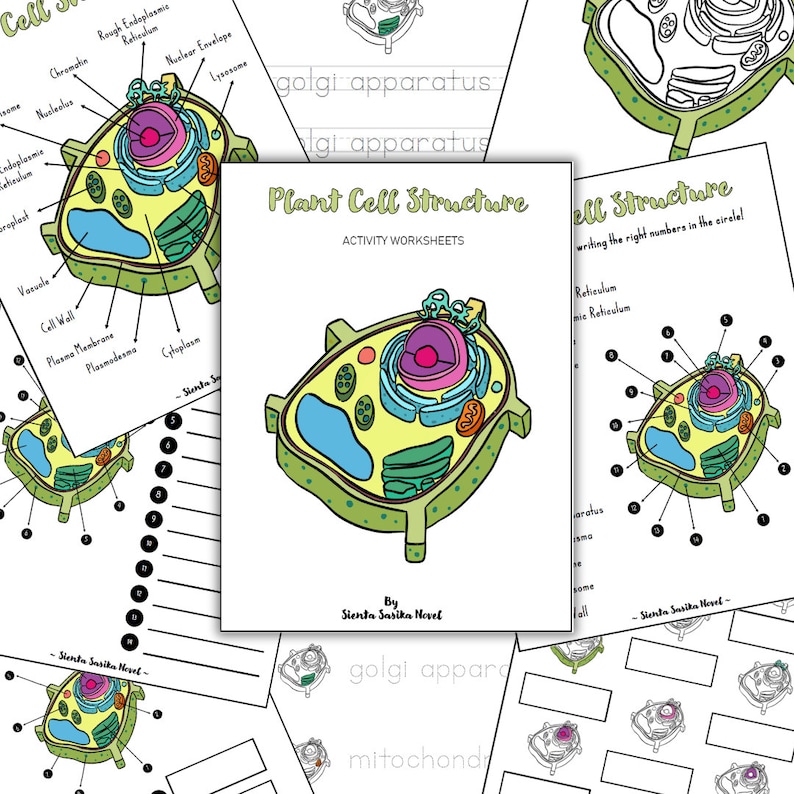 PLANT CELL STRUCTURE: Montessori 3 Parts Card and 115 Pages Worksheet ...