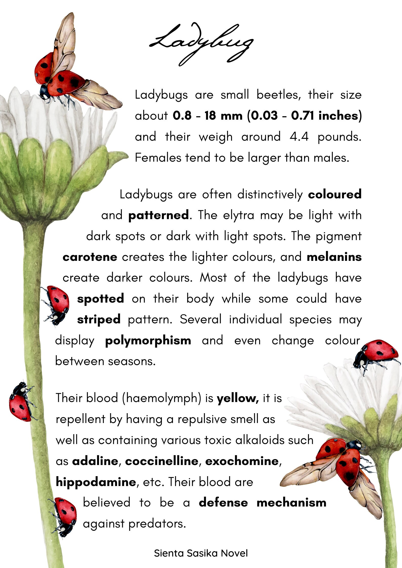 LADYBUG UNIT STUDY nature Unit Study Total 232 Pages Science ...