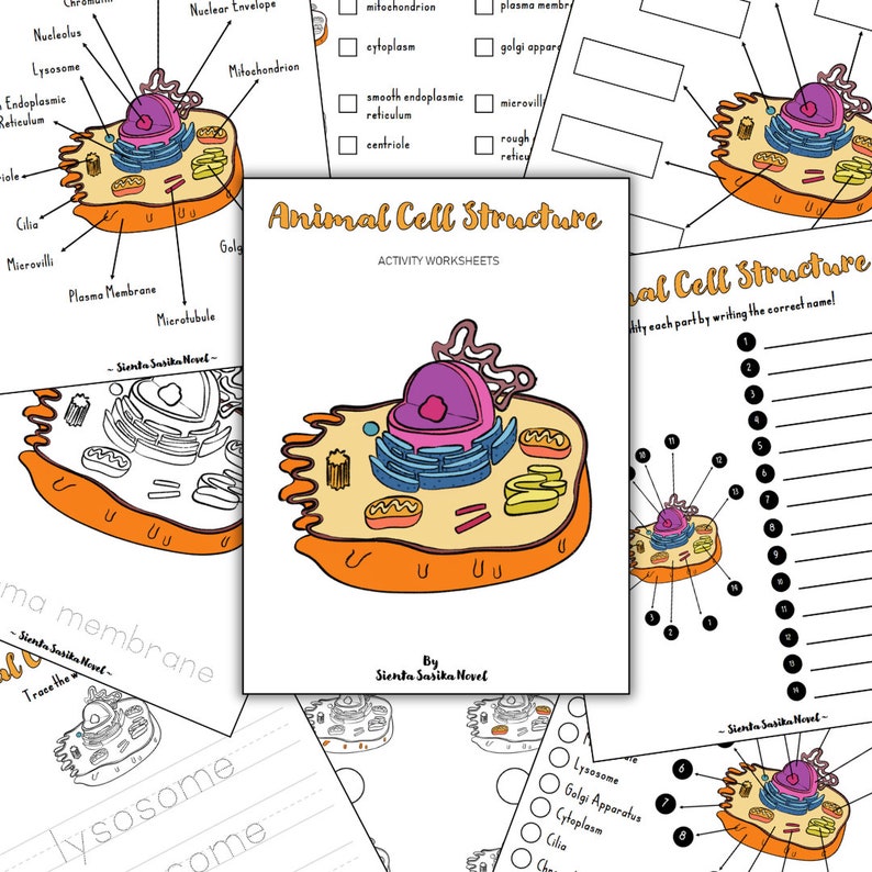 ANIMAL CELL STRUCTURE: Montessori 3 Parts Card and 114 Worksheet Pages ...