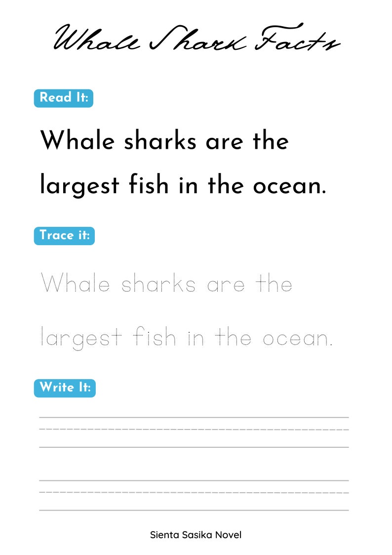 WHALE SHARK Unit Study [nature Unit Study] Total 127 Pages | Science ...