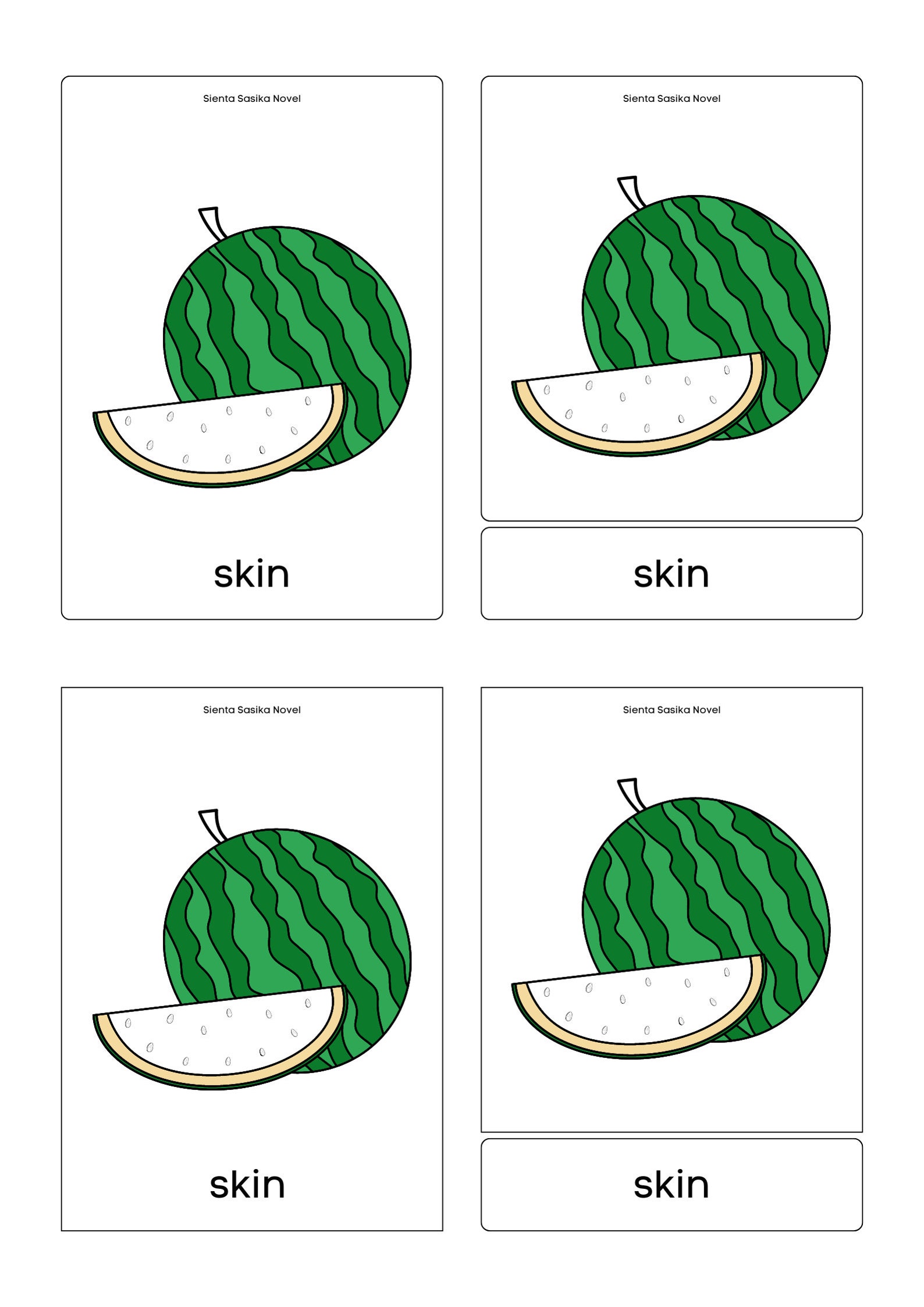 PART OF FRUIT: Watermelon Semangka Learning Anatomy of Fruit Botany ...